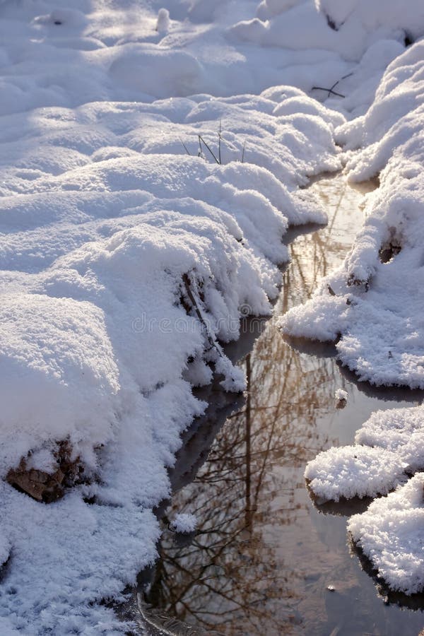 Spring Brook. Streams Run through the Spring on the Way Melting Ice and ...