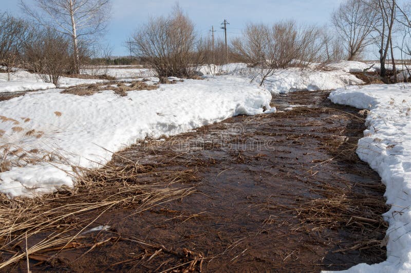 Spring Brook stock photo. Image of iceland, brook, beauty - 122719448