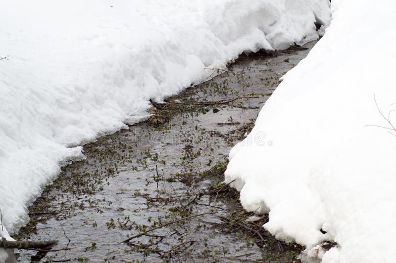 Spring Brook. Thaw. Spring. Stock Photo - Image of river, downy: 38727248