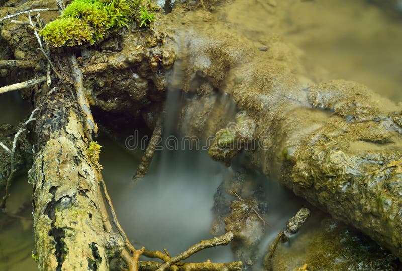 Spring brook stock photo. Image of life, brook, tree - 39969236