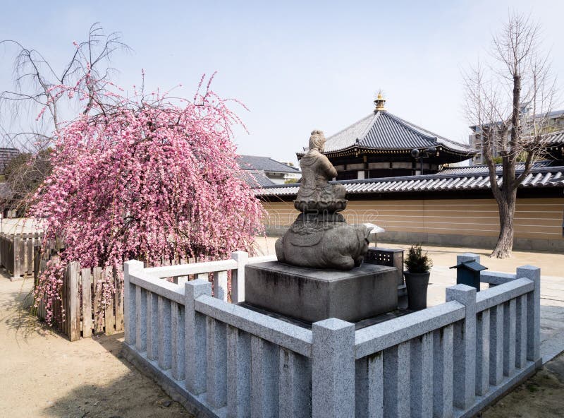 Spring in buddhist temple stock photo. Image of plum - 62863126