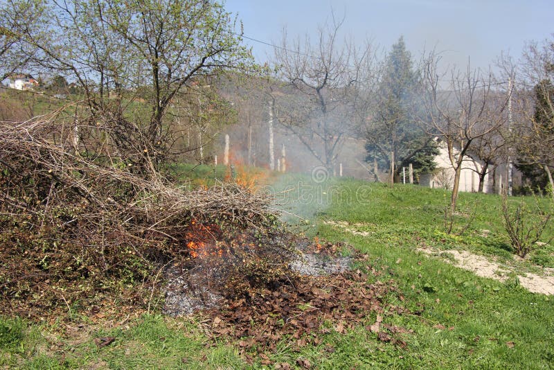 Spring burning stock photo. Image of burn, rural, nature - 30626834