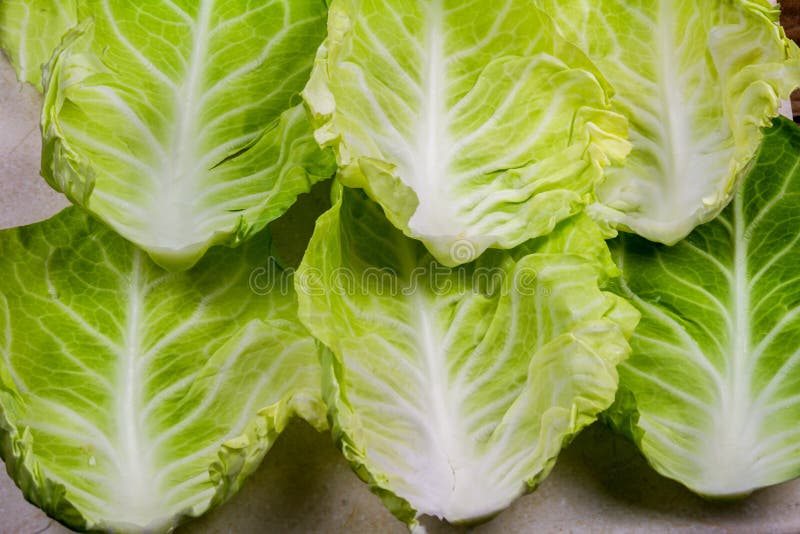 Spring Cabbage Leaves Forming a Background Stock Photo - Image of leaf ...