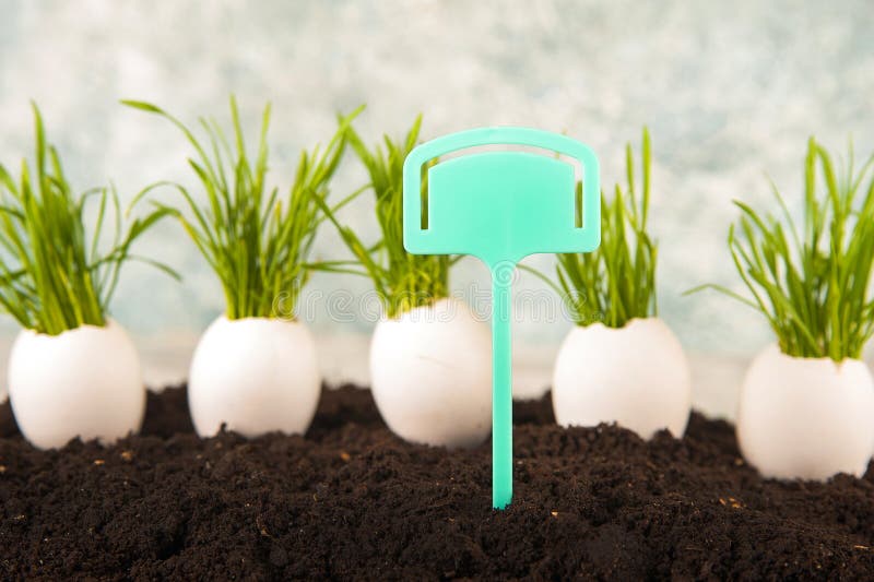 Spring Came. Spring Lettering Check Boxes Stock Image - Image of eggs ...