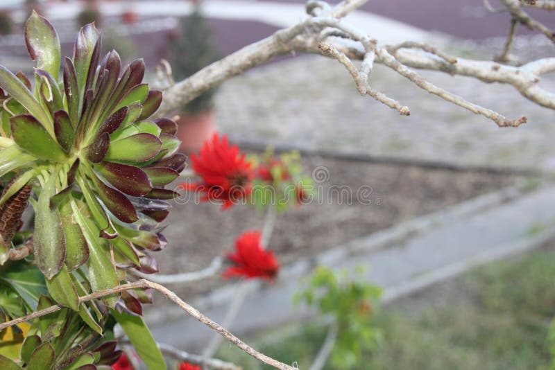 Spring came stock photo. Image of abstract, wallpaper - 139767616