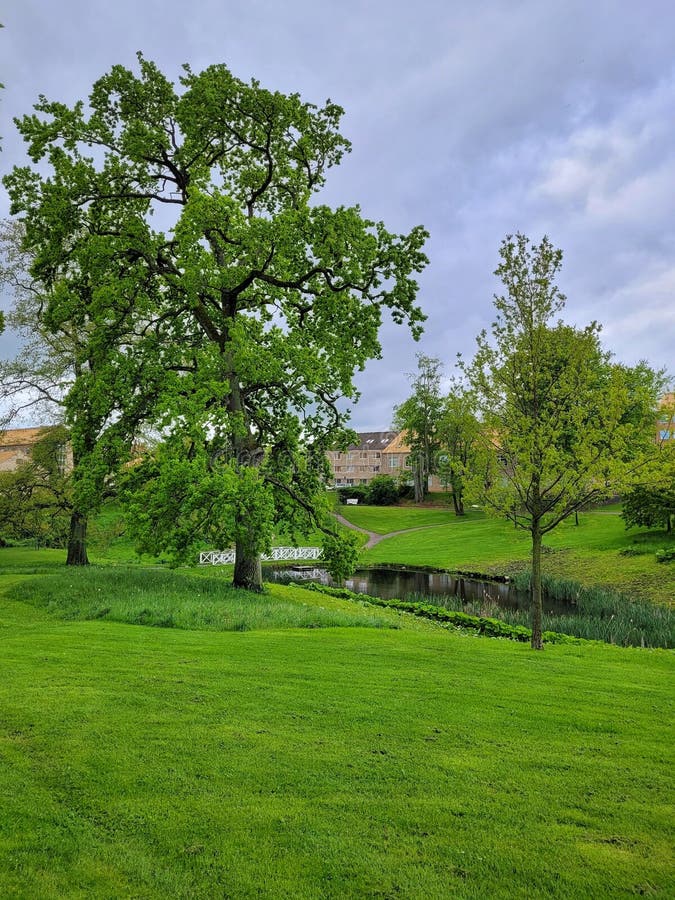 Spring on Campus, Aarhus University Stock Photo - Image of woodland ...