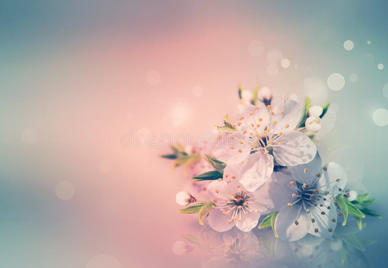 Spring card background stock image. Image of nature, abstract - 63719357