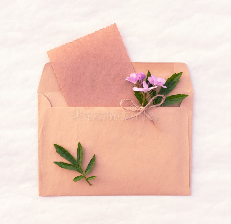 Pink Flowers in an Envelope Stock Photo - Image of flower, beautiful ...