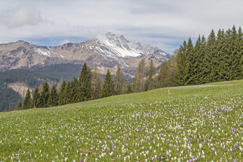 Carnic Alps View from Geo Trail Wolayersee in Lesachtal Carinthia ...