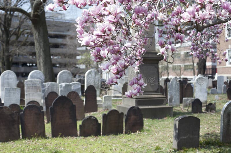 Spring in the Cemetery stock image. Image of paranormal - 36275259