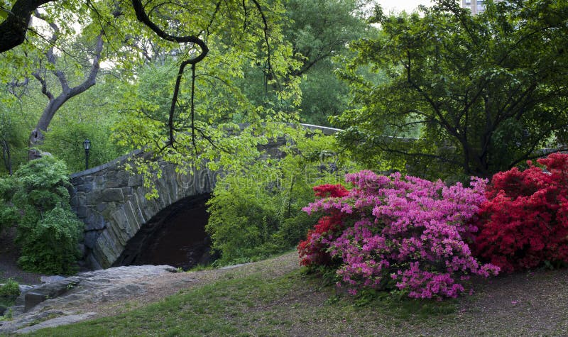 Central Park in spring stock image. Image of season, buildings - 13322017