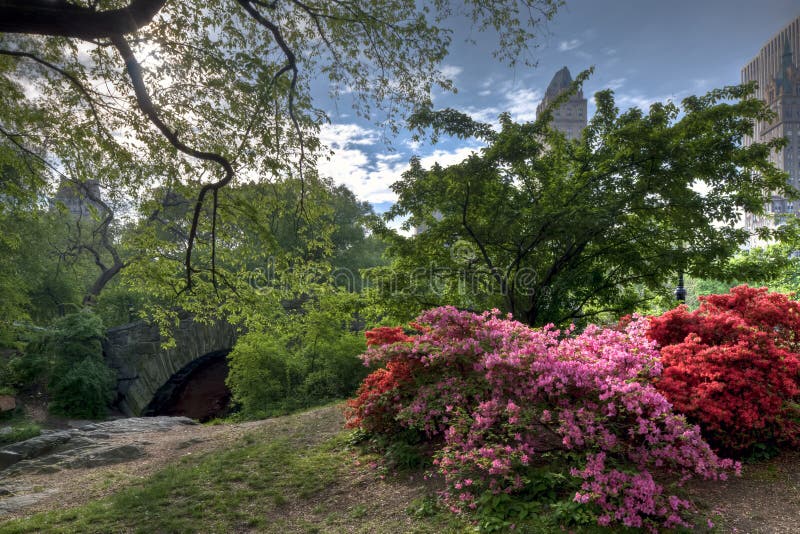 Spring in Central Park stock photo. Image of flowers - 14152322