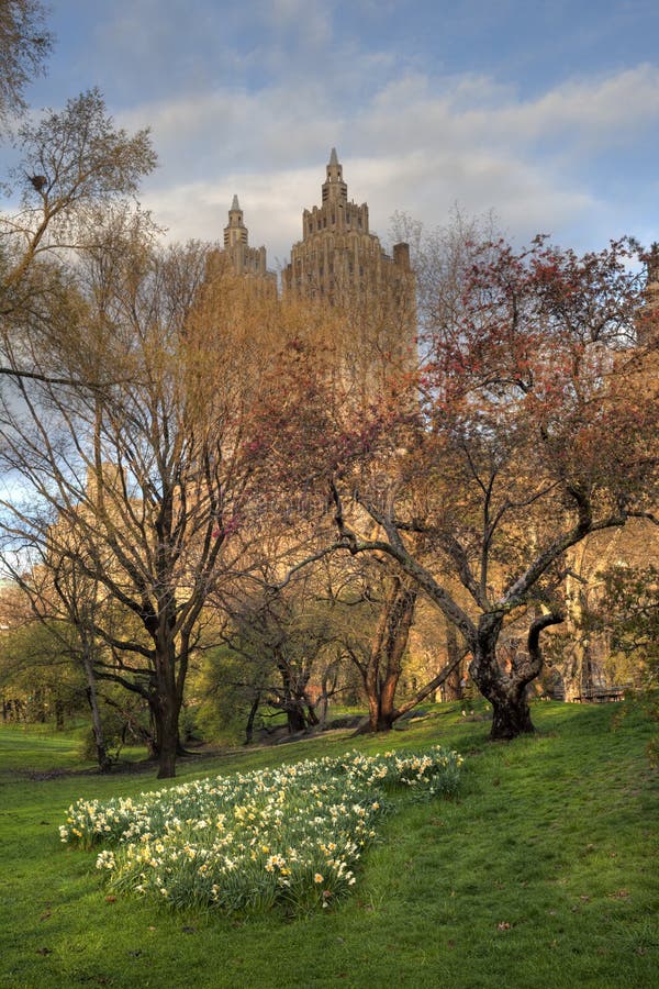 Spring in Central Park stock image. Image of grass, york - 19312819