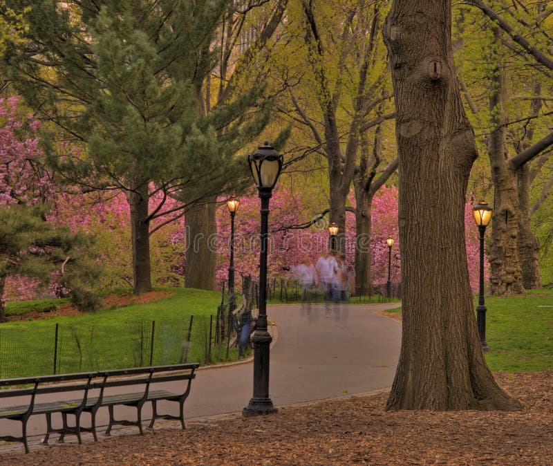 Spring in Central Park stock photo. Image of blue, lake - 3162384