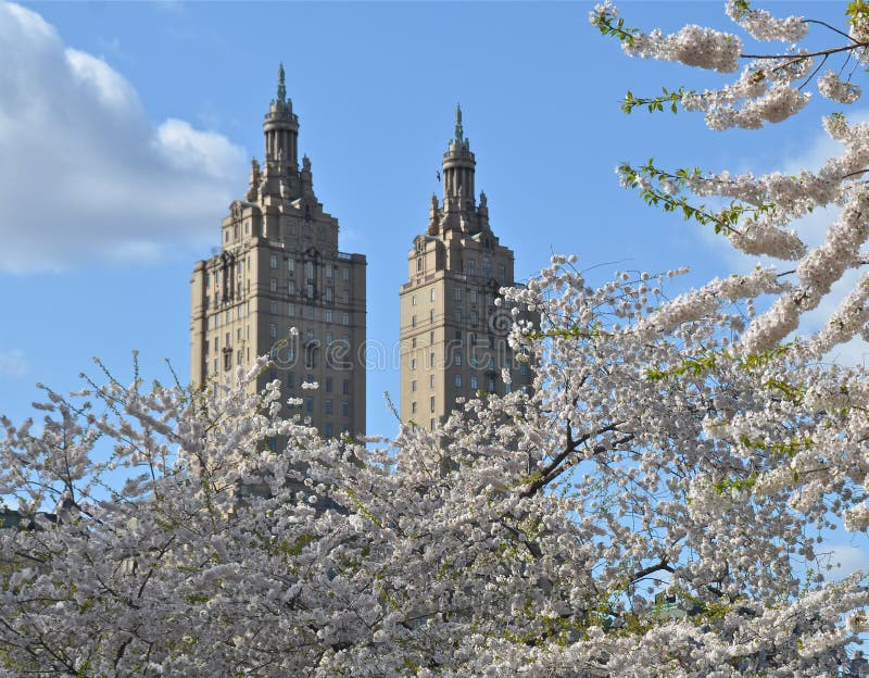 Spring in Central Park, Manhattan, New York. Stock Image - Image of ...