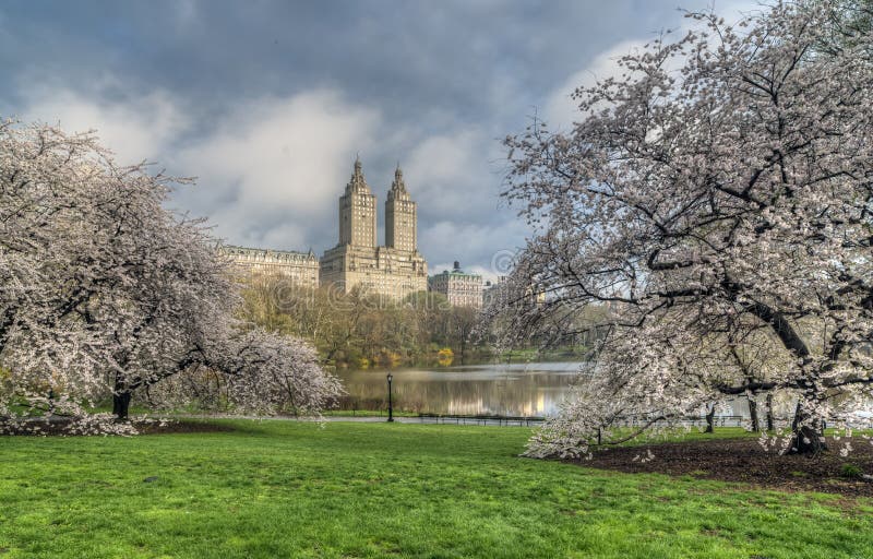 Spring in Central Park stock photo. Image of urban, grass - 5157782