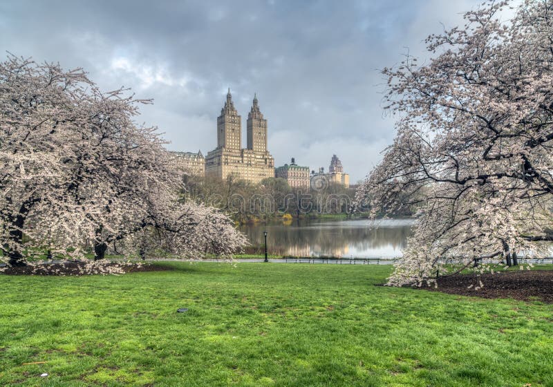 Spring in Central Park stock photo. Image of urban, grass - 5157782