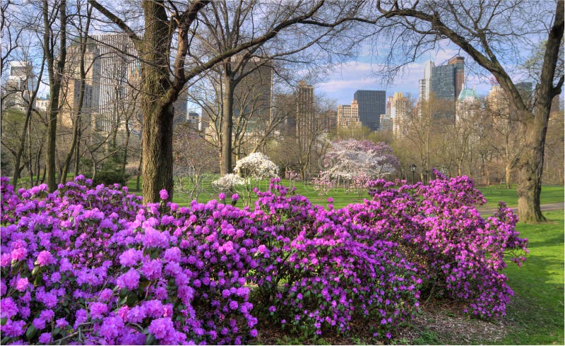 Spring in Central Parl stock photo. Image of romance, selective - 5476066