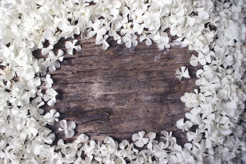 Spring Cherry Blossom - Spring Flowers Frame on Wooden Background Stock ...