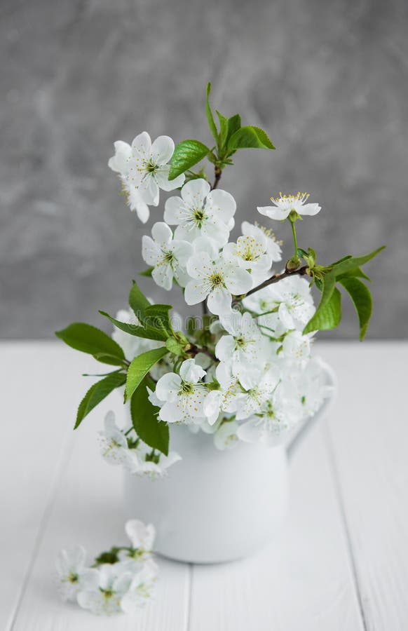 Spring cherry blossom stock image. Image of table, branch - 142035263