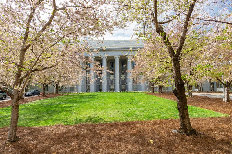 Spring and Cherry Blossoms in Downtown Washington D.C Stock Photo ...