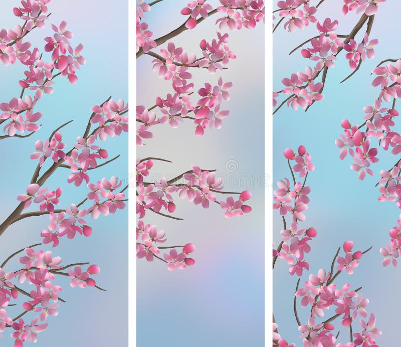 Spring Cherry Sakura Banners Stock Image - Image of garden, flora: 47093445