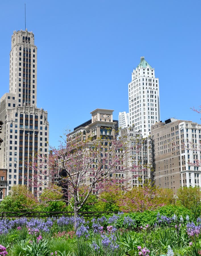 Spring in Chicago stock photo. Image of blossom, meadow - 22995806