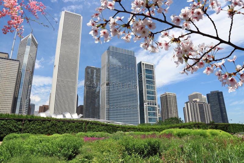 Spring in Chicago city stock photo. Image of north, states - 214381608