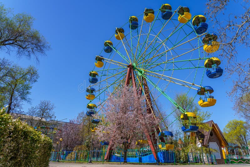 Spring City with Flowering Trees. Background with Copy Space for Text ...