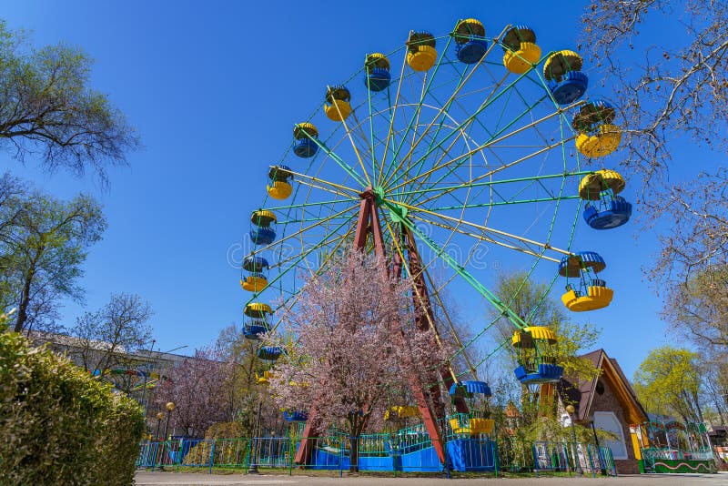 Spring City with Flowering Trees. Background with Copy Space for Text ...