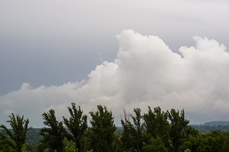 Spring City Landscape - Green Trees and Sky with Clouds Stock Image ...