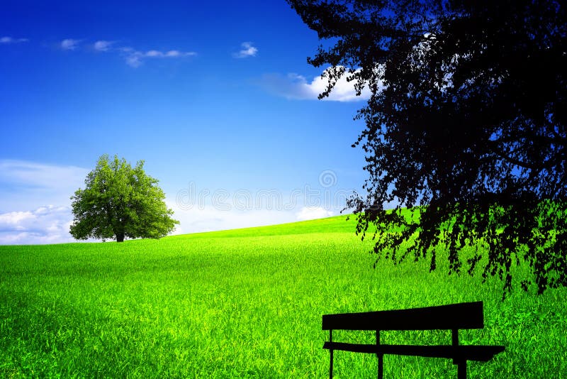 Spring city park stock photo. Image of light, lawn, agriculture - 30321720