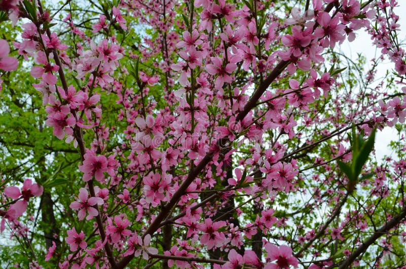 Spring in the city stock image. Image of attractive, winter - 54147095