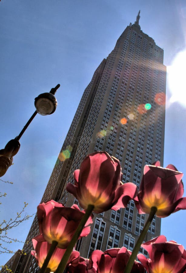 Spring in the City editorial image. Image of newyork - 68429480