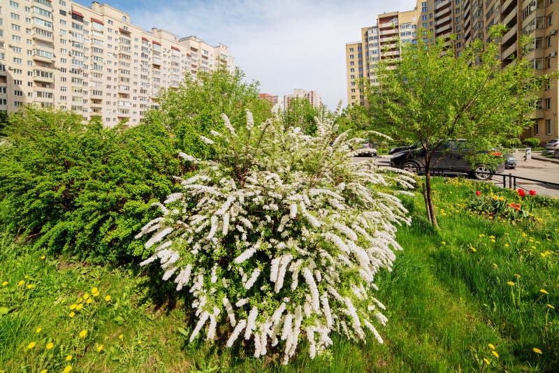 Spring city yard stock image. Image of sunny, outdoor - 108781333