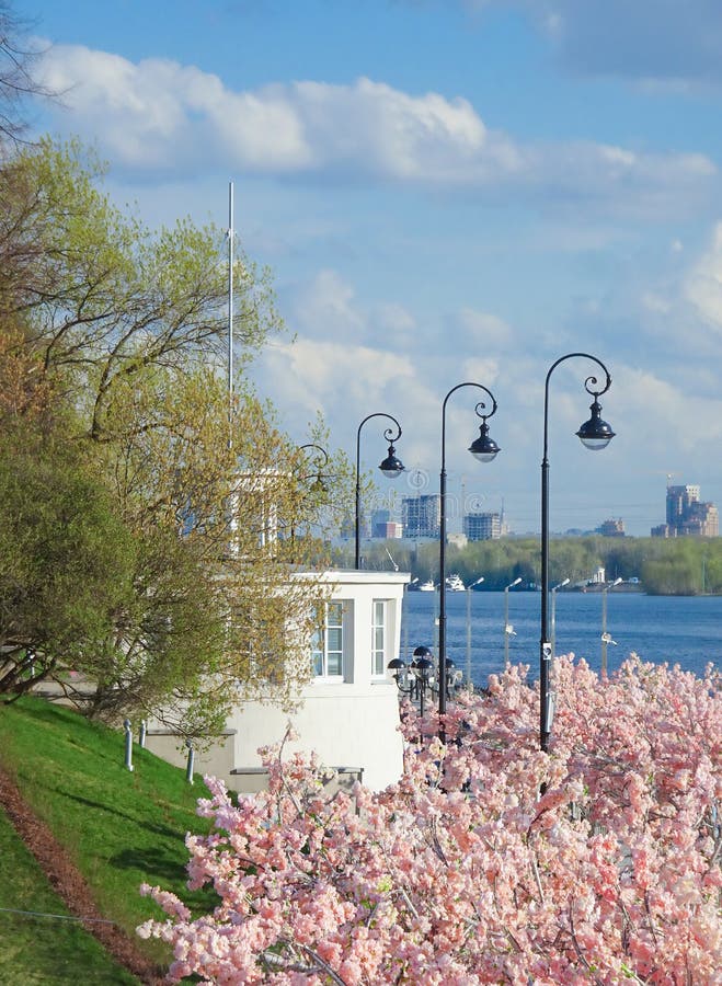 Spring Cityscape with Flowering Trees, River and Lanterns, Selective ...