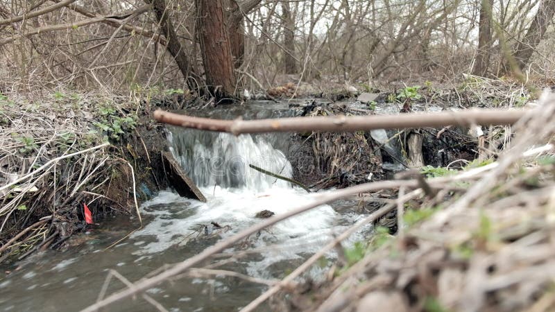 Spring Clean Creek Contaminated with Plastic Garbage. Stock Video ...