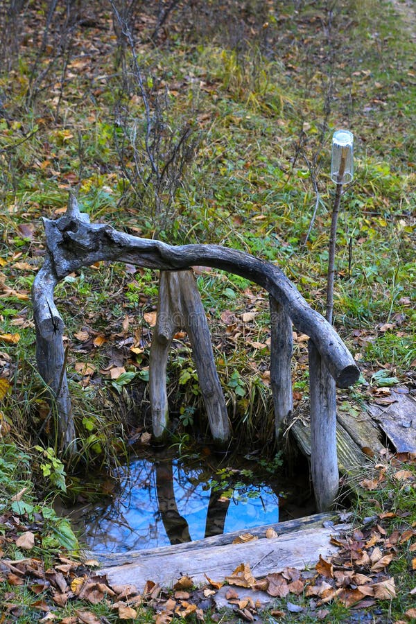 Spring with Clean Drinking Water in Forest Stock Image - Image of water ...
