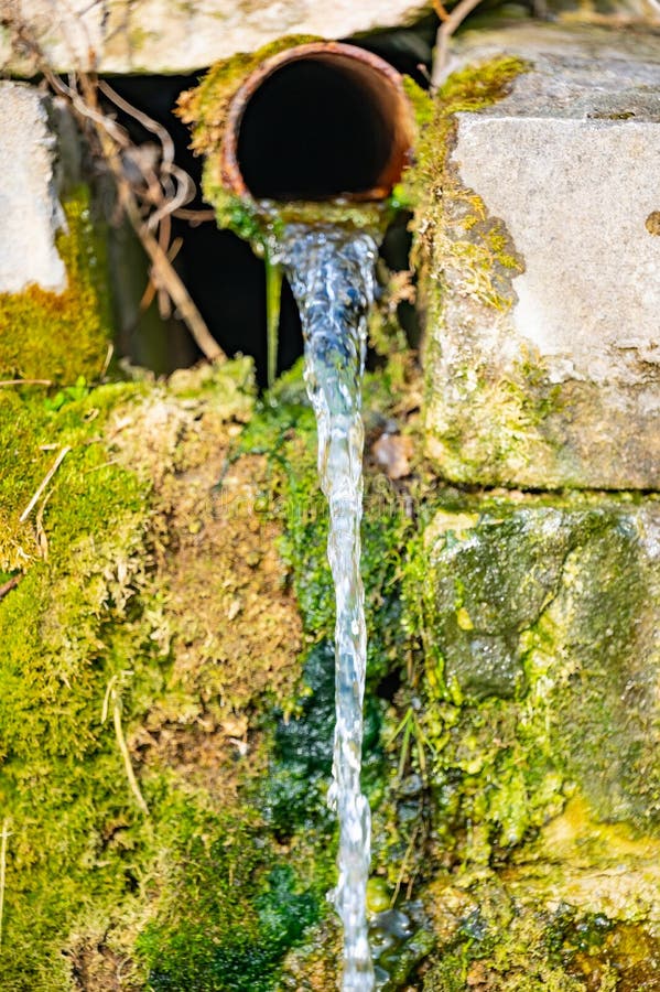 Stream of Clean Spring Water Stock Photo - Image of tube, motion: 215331814