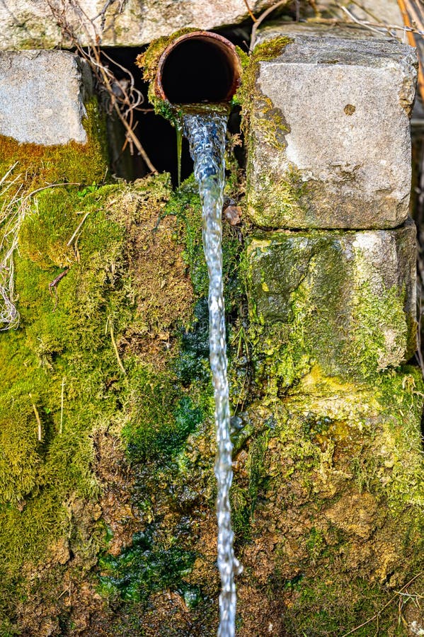 Stream of Clean Spring Water Stock Image - Image of drop, clear: 215331849