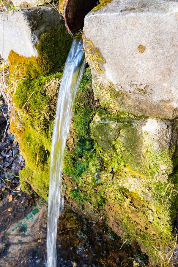 Stream of Clean Spring Water Stock Image - Image of fossil, environment ...