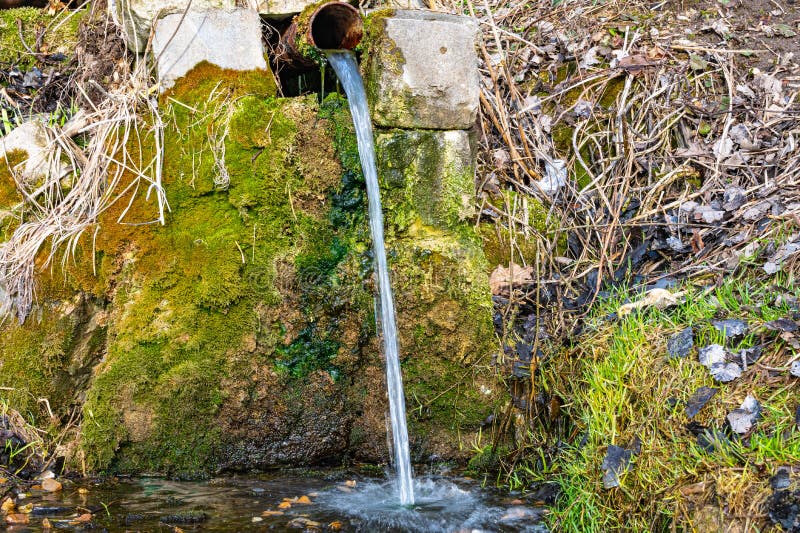 Stream of Clean Spring Water Stock Image - Image of environment, nature ...