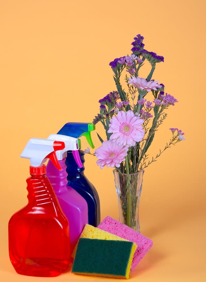 Spring Clean and Fresh stock image. Image of shine, renew - 606795