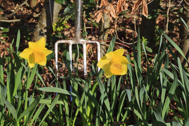 Spring clean in the garden stock photo. Image of bright - 23677128