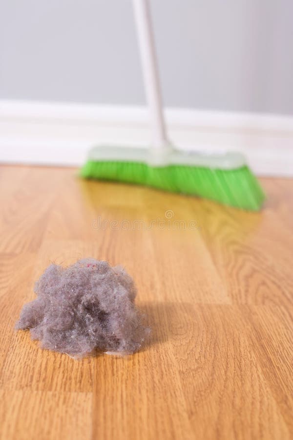 29,798 Spring Cleaning Photos - Free & Royalty-Free Stock Photos from ...