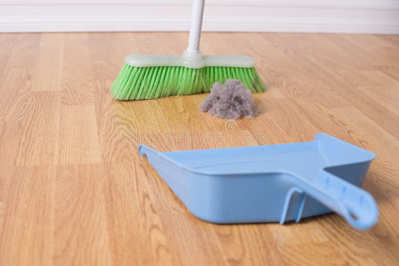 Spring Cleaning stock photo. Image of housework, dust - 8455984