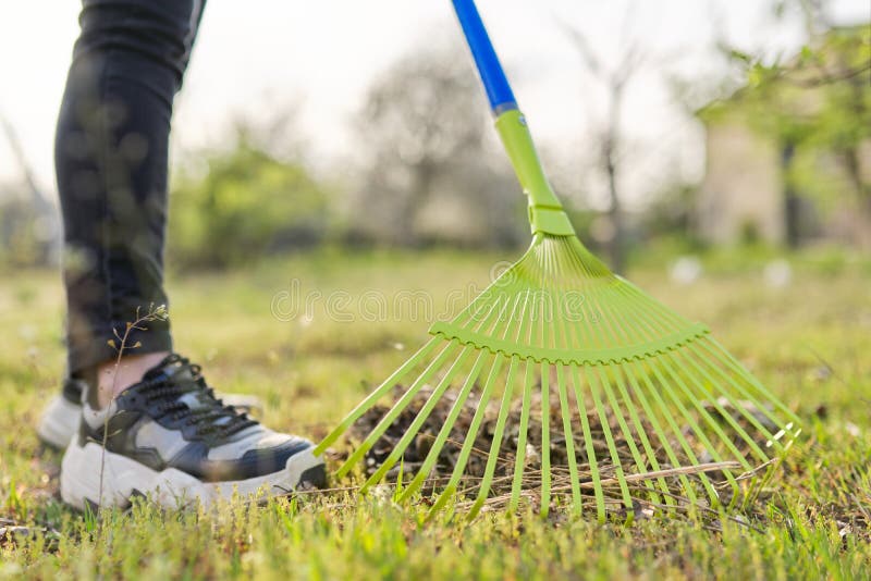 Spring Cleaning in the Garden, Closeup Rake Cleaning Green Grass Stock ...
