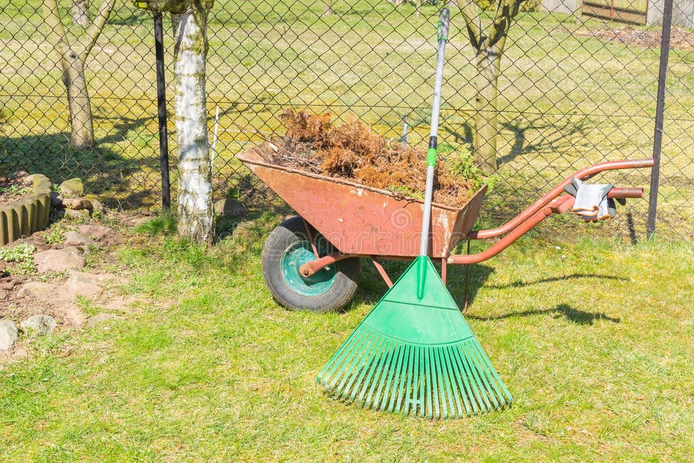 Spring Cleaning in the Garden. Stock Photo - Image of nature, flowers ...