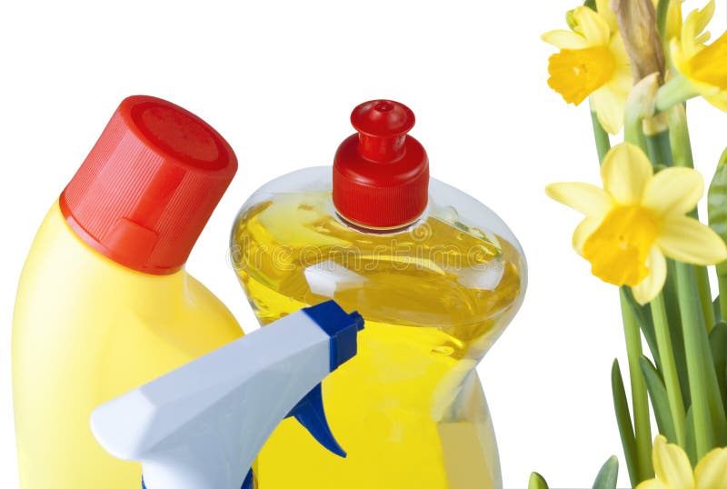 Spring Cleaning Products stock photo. Image of spring - 14471028