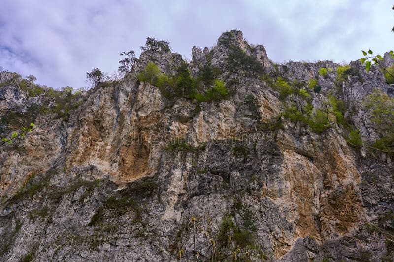 Spring Cliffs and Forested Peaks Stock Image - Image of untouched ...